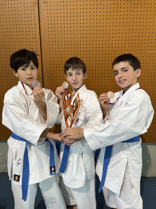 COMPÉTITION - 12 podiums pour l’association SHOSHIN à la compétition ...